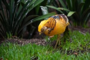 Must-Visit Zoos and Animal Parks in Cape Town 2026 - WakaAbuja