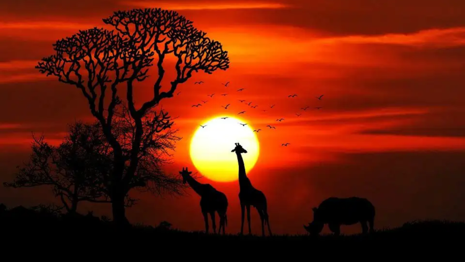 The 12 Best Wildlife Safari Destinations in the World 2026 - WakaAbuja